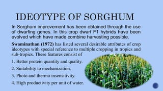 IDEOTYOE OF CROPS.pptx