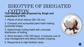IDEOTYOE OF CROPS.pptx