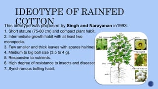 IDEOTYOE OF CROPS.pptx