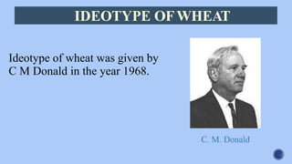 IDEOTYOE OF CROPS.pptx