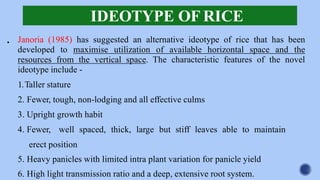 IDEOTYOE OF CROPS.pptx