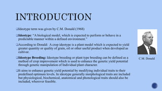 IDEOTYPE OF CROPS.pptx