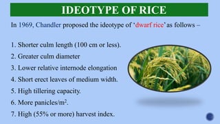 IDEOTYPE OF CROPS.pptx