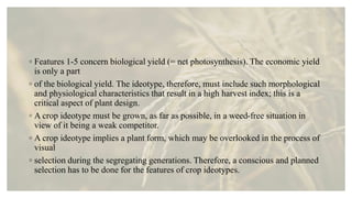 ideotype in rice .pptx