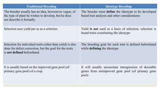 ideotype in rice .pptx
