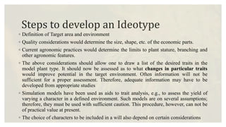 ideotype in rice .pptx