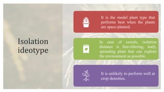 ideotype in rice .pptx