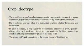 ideotype in rice .pptx