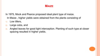 Ideotype breeding | PPTX