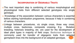 Ideotype breeding | PPTX