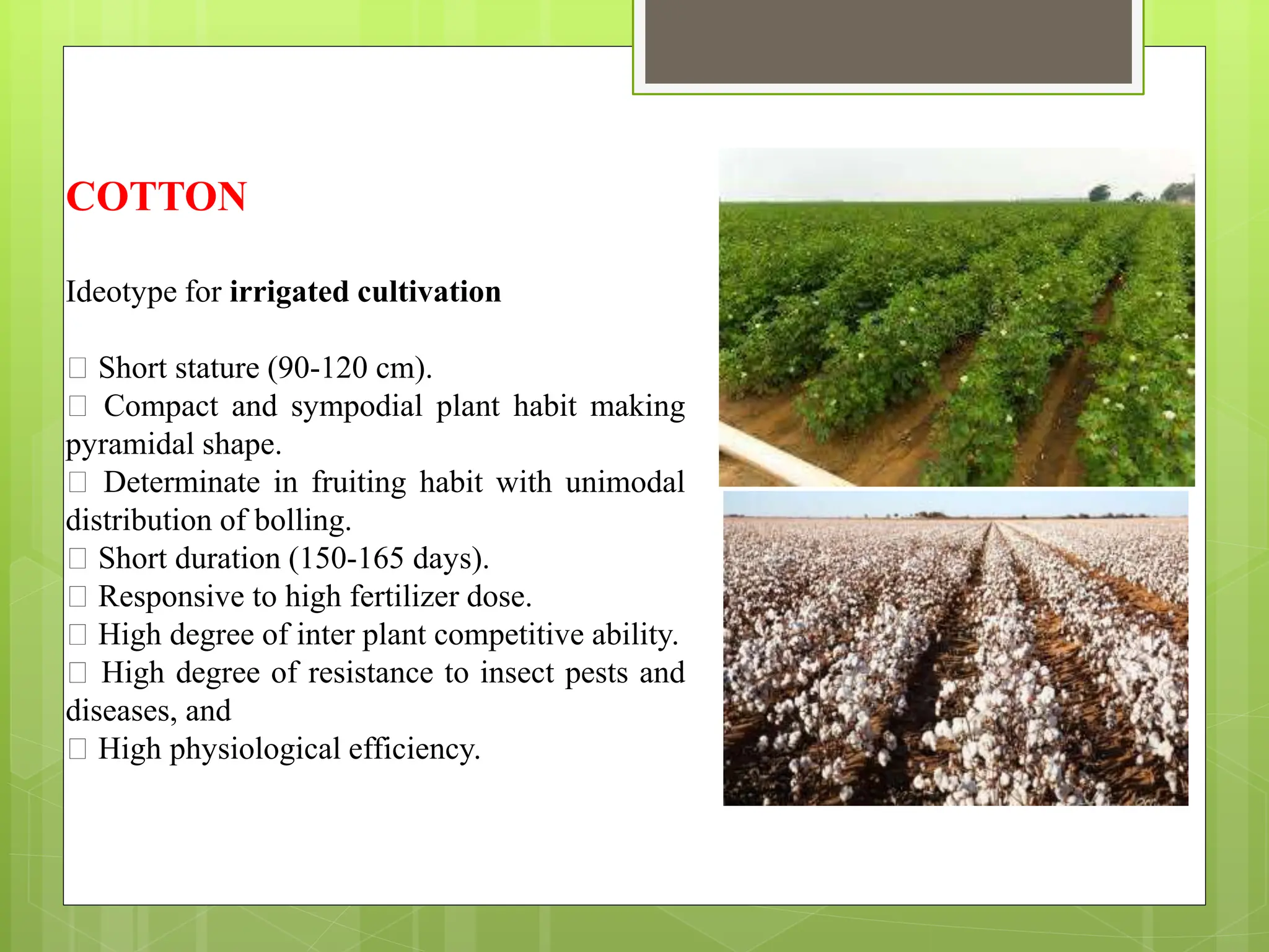 Ideotype concept and climate resilient crop varieties for future- Wheat ...