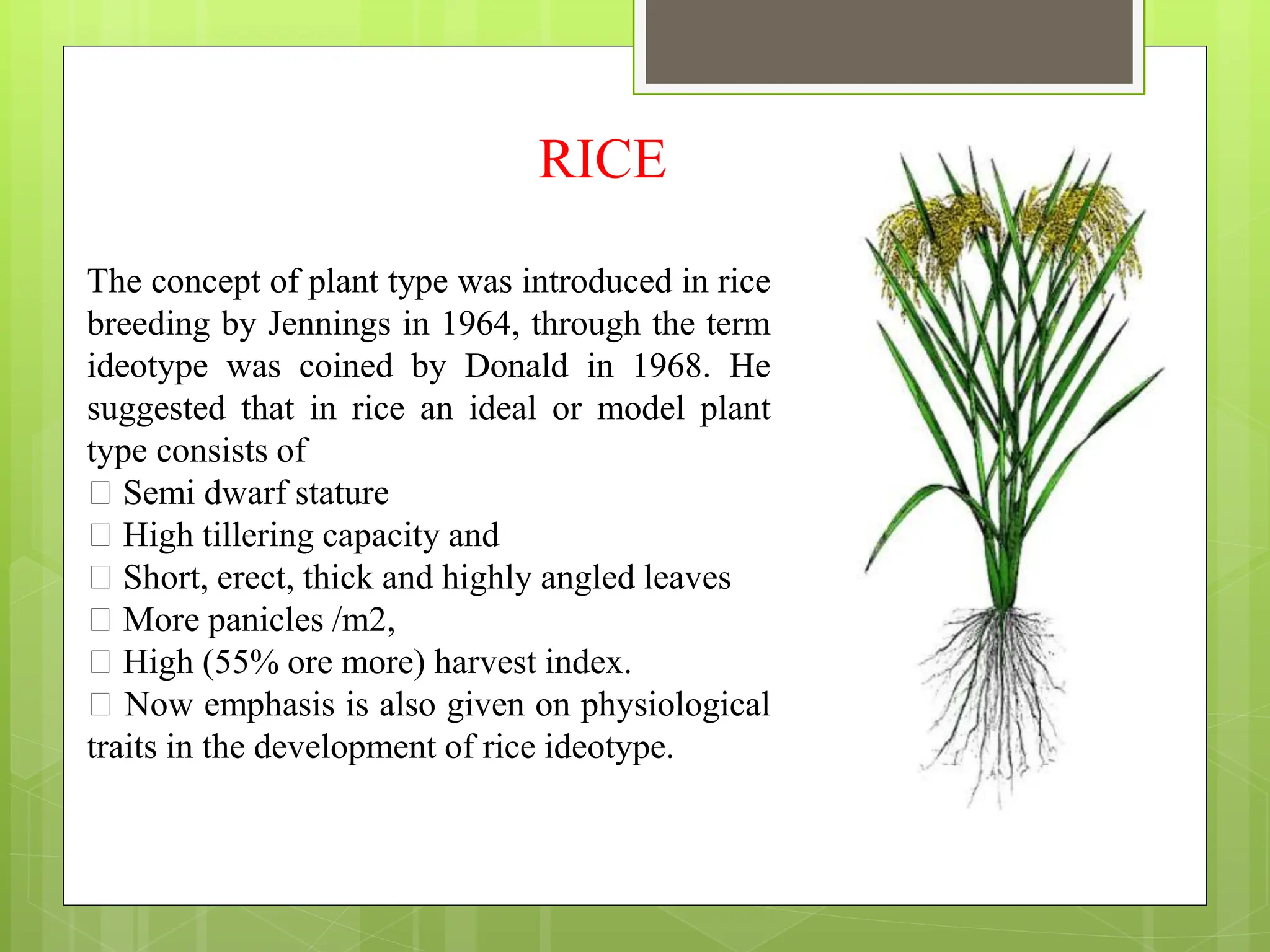 Ideotype concept and climate resilient crop varieties for future- Wheat ...