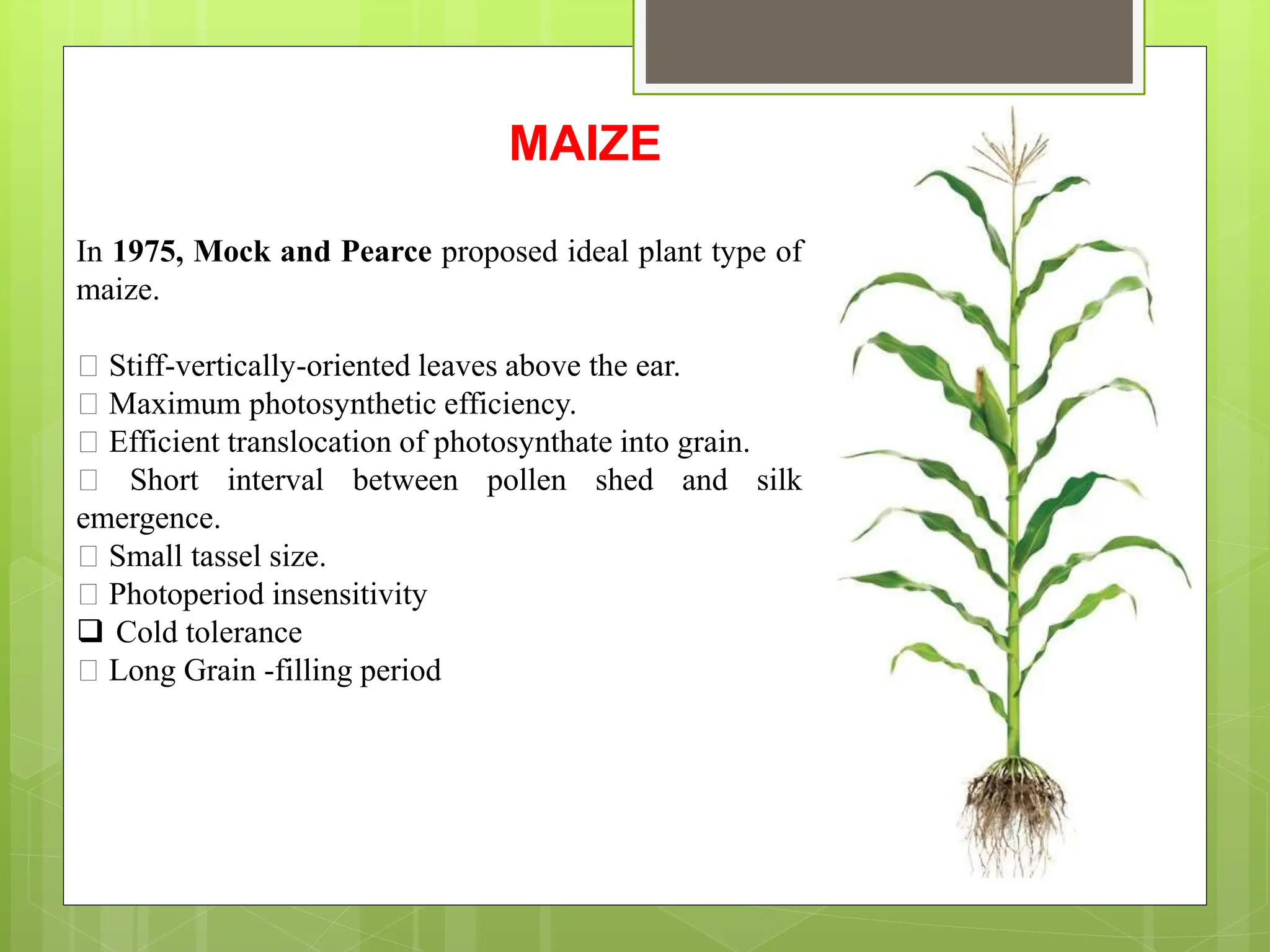 Ideotype concept and climate resilient crop varieties for future- Wheat ...