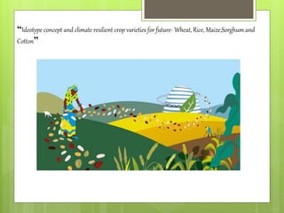 Ideotype concept and climate resilient crop varieties for future- Wheat ...