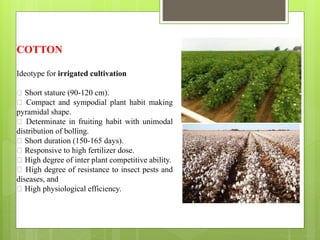 Ideotype concept and climate resilient crop varieties for future- Wheat ...