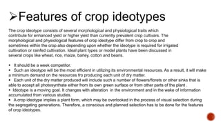 Ideotype concept on cereal crops | PPT