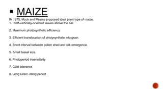 Ideotype concept on cereal crops | PPT