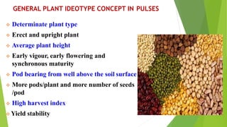 Ideotype Physiological, Breeding and Agronomic Perception Dr. B. K ...