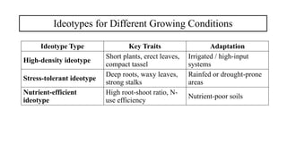 Ideotypes of maize. - Types of ideotypes | PPTX
