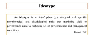 Ideotypes of maize. - Types of ideotypes | PPTX