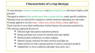 Ideotypes of maize. - Types of ideotypes | PPTX