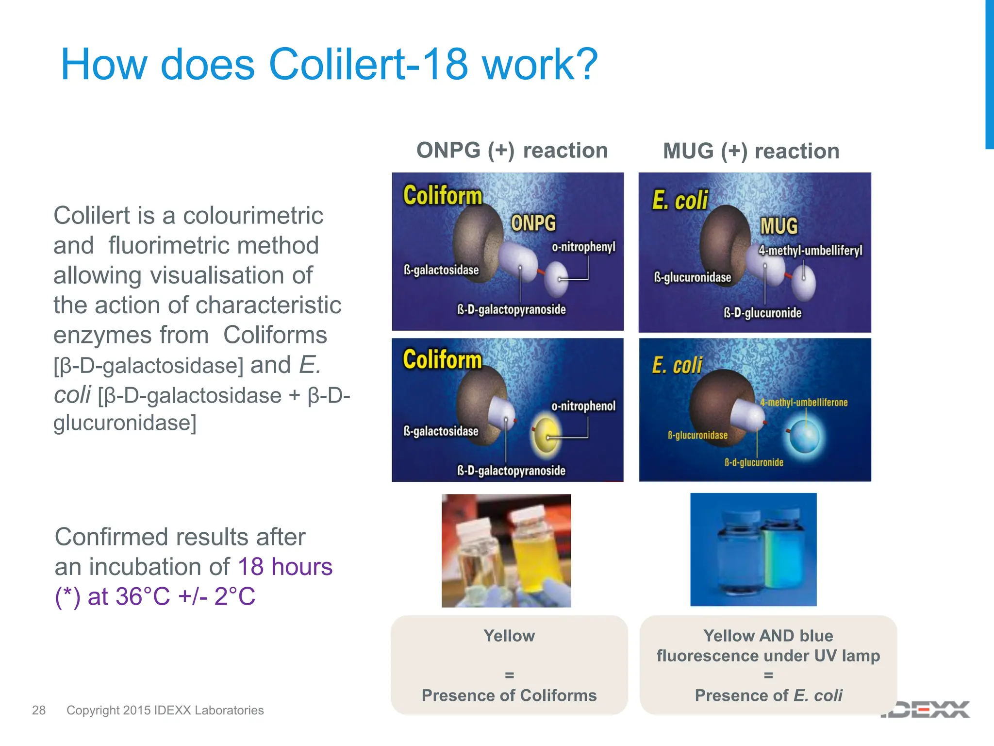 IDEXX KK_-Nordics_FINAL_with TECTA+Crypto.pdf