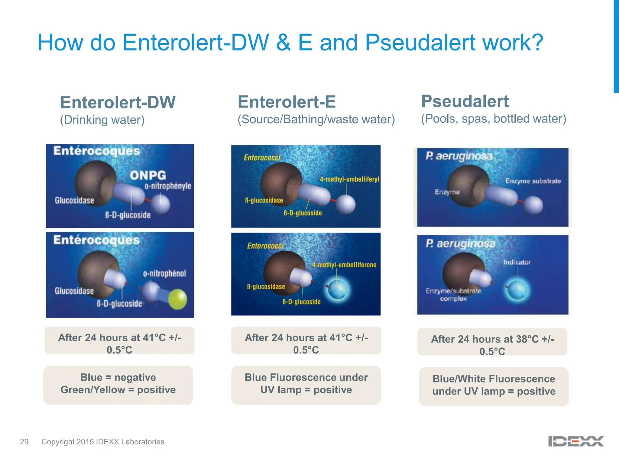 IDEXX KK_-Nordics_FINAL_with TECTA+Crypto.pdf