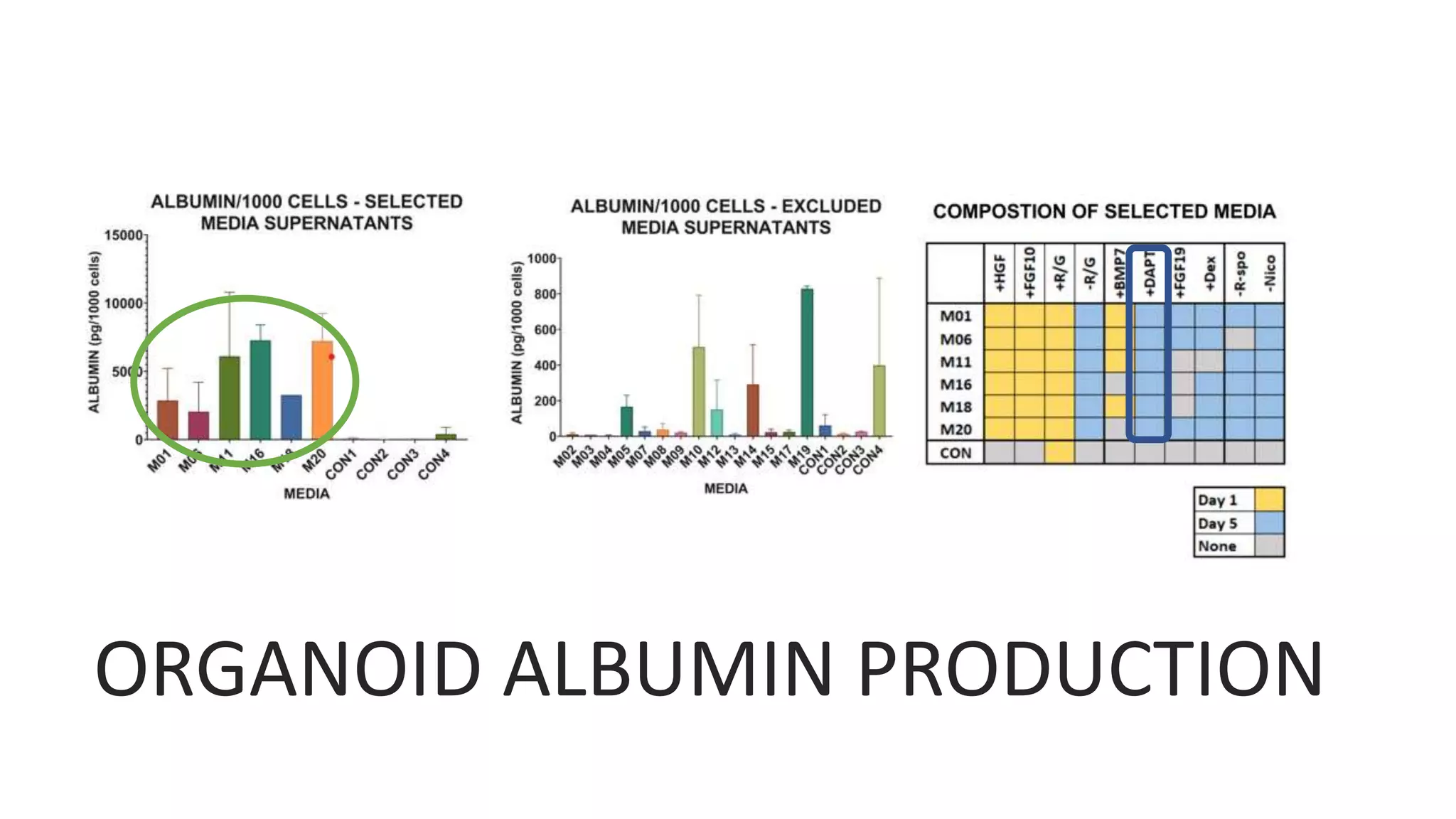 IDEXX Presentation Veterinary Organoids | PPTX