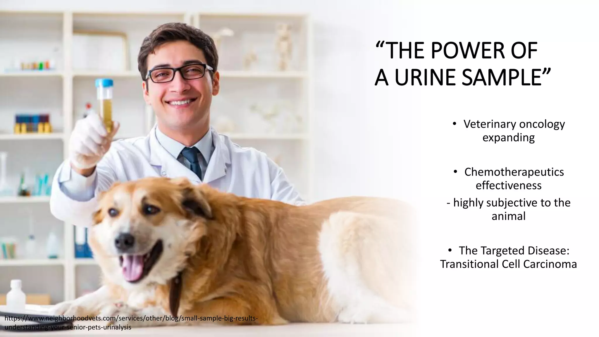 IDEXX Presentation Veterinary Organoids | PPTX