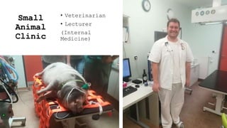 IDEXX Presentation Veterinary Organoids | PPTX