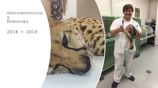 IDEXX Presentation Veterinary Organoids | PPT