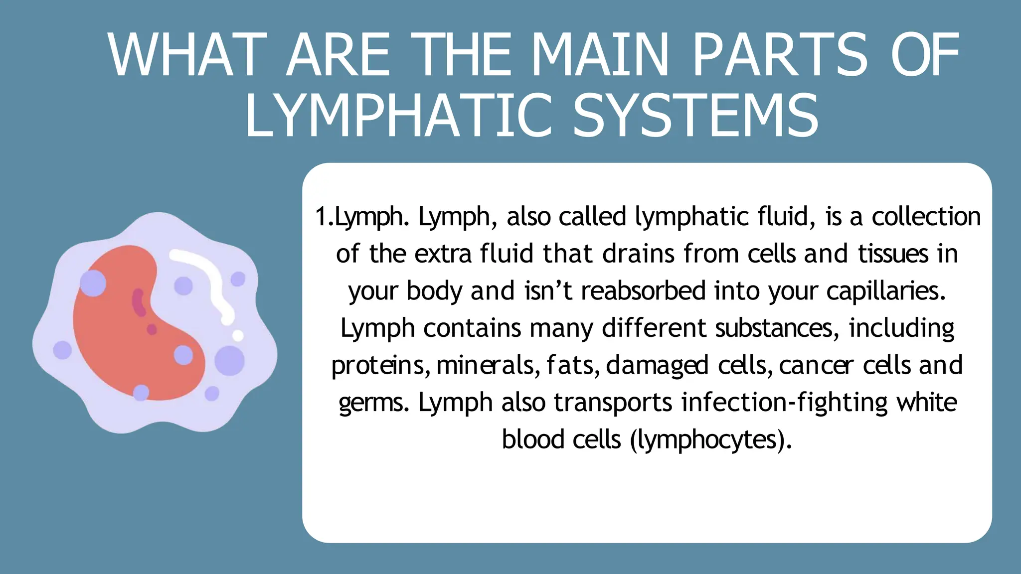 Idhal lymphatic system .pptxwwwwwwwwwwwwwww | PPT