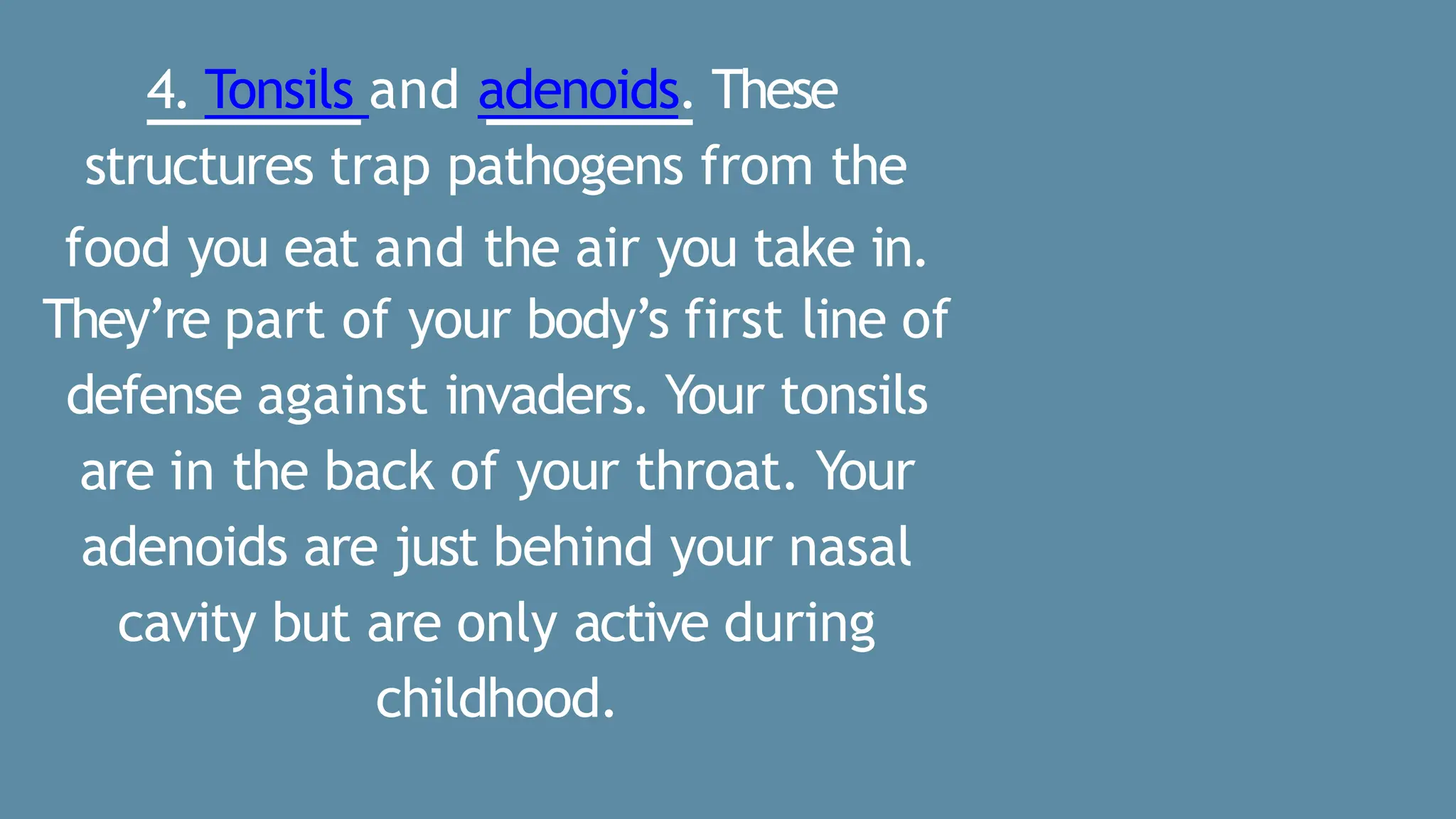 Idhal lymphatic system .pptxwwwwwwwwwwwwwww | PPT