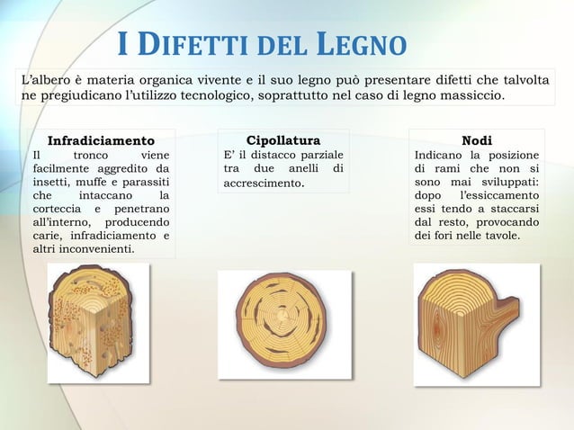 I difetti del legno | PDF