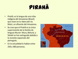 Idioma piraha marina tolosa 2º c | PPTX