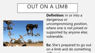 Idiomatic expressions sol esquivel | PPT