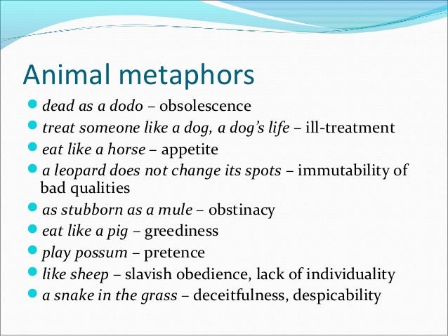 Idiomi, lecture 04, 12 13