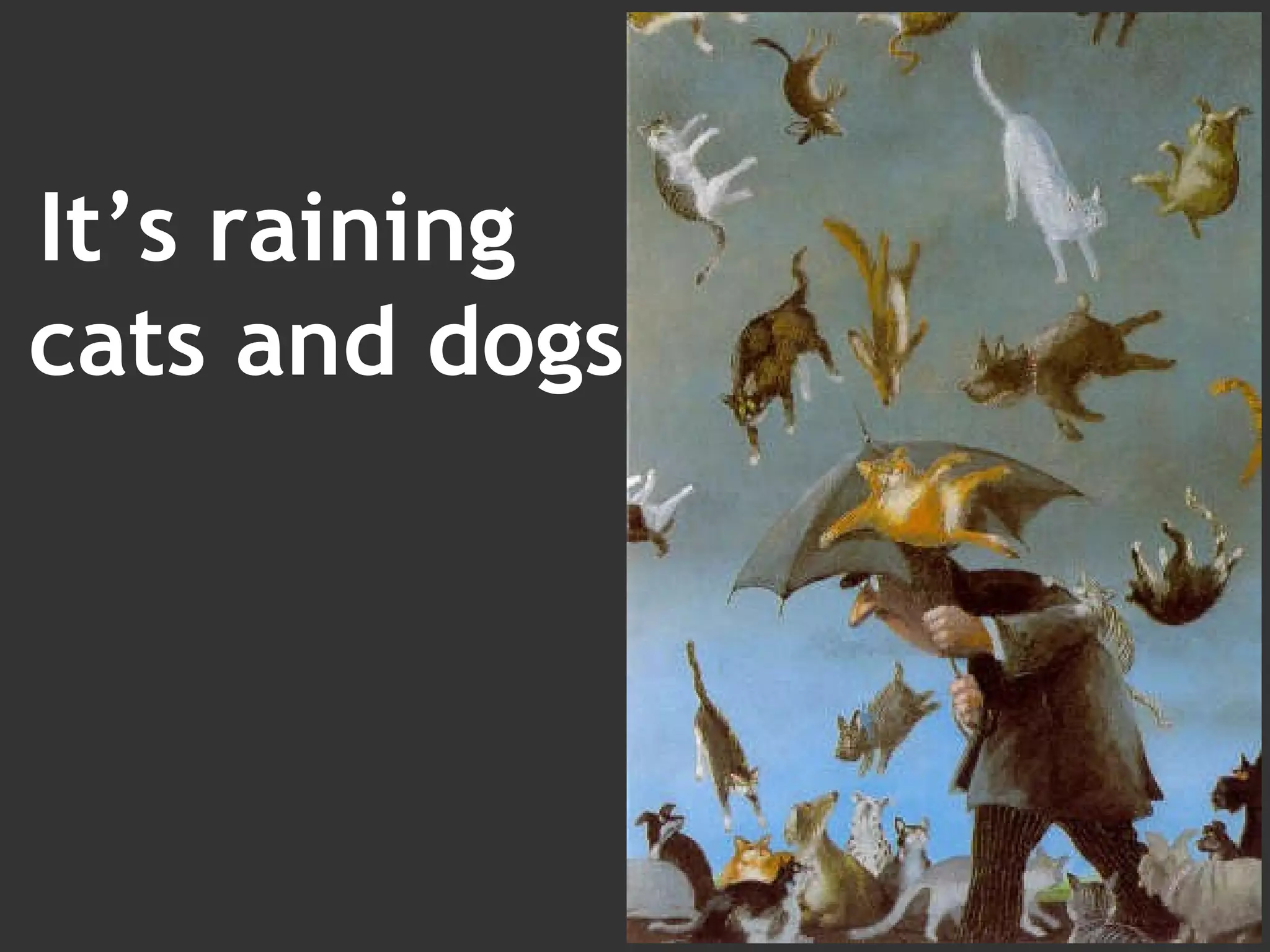 What Is An Example Of Raining Cats And Dogs