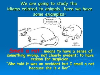 Idioms | PPT