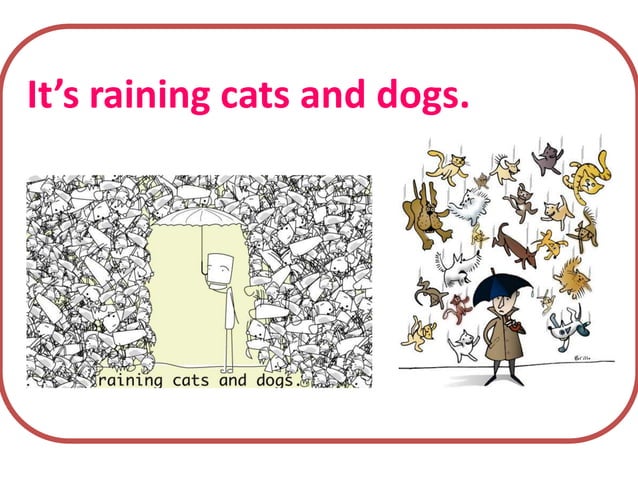 Idioms related to Spring | PPTX