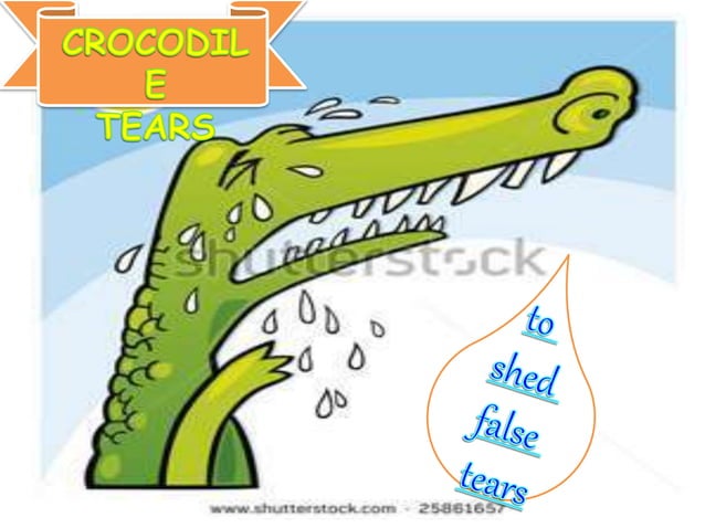 Idioms pictionary | PPTX