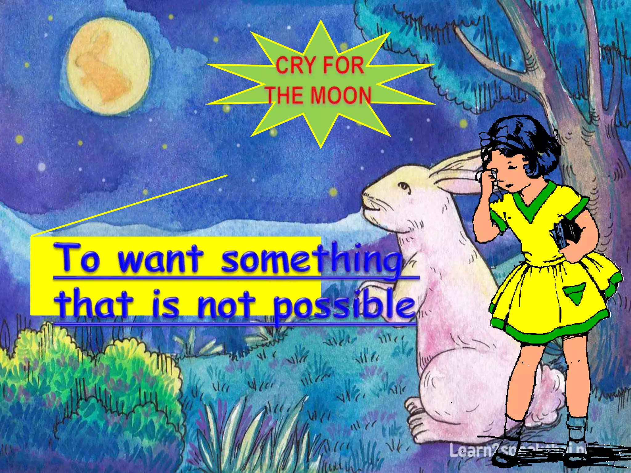 Idioms pictionary | PPTX