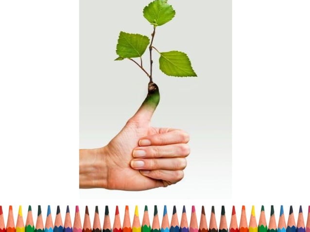 Fun with Idioms, Collocations & Phrasal Verbs | PPT