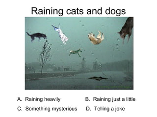 Idioms and phrases | PPT