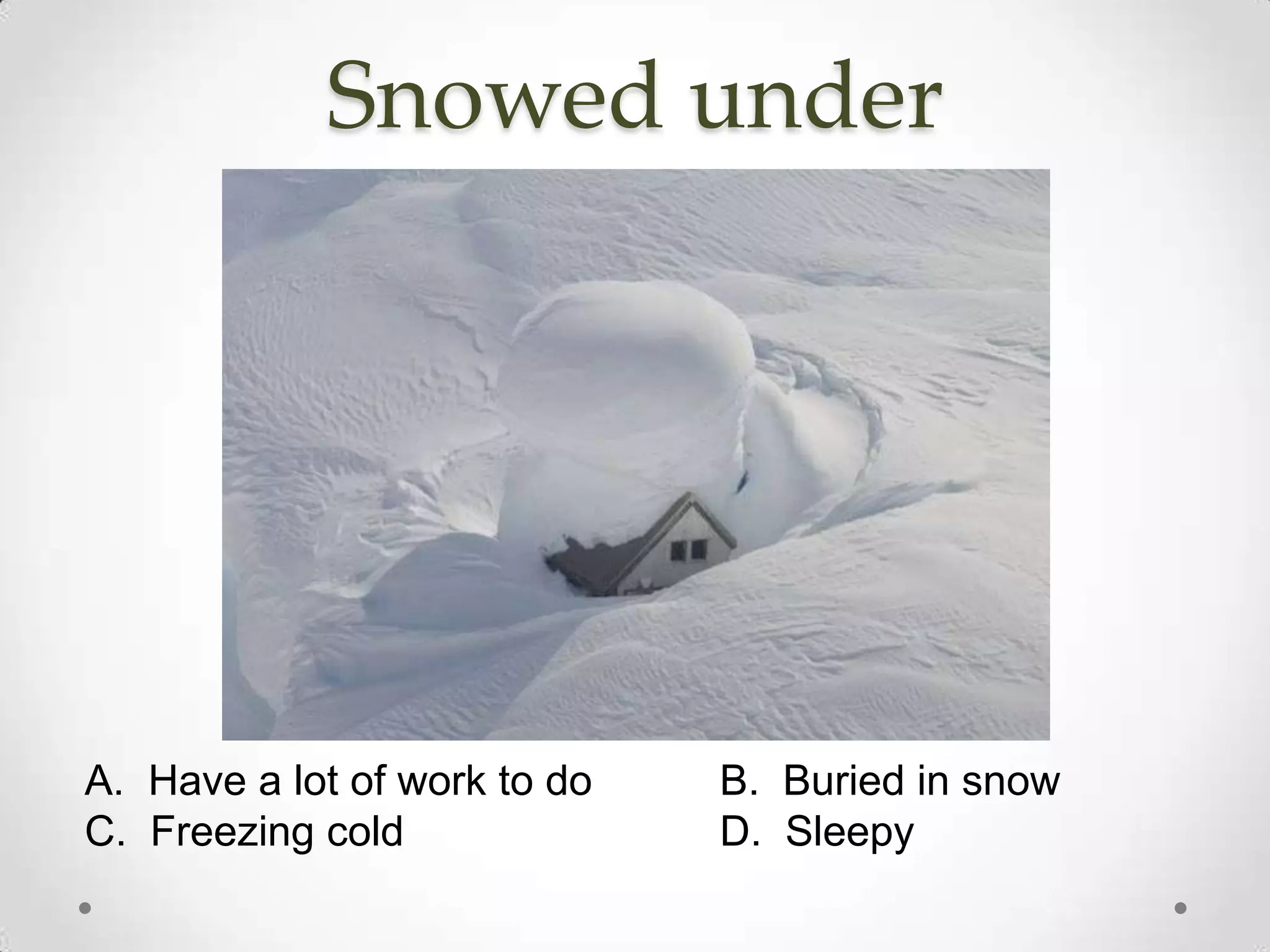 Idioms and Phrases | PPTX