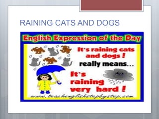 Idioms and phrases | PPTX