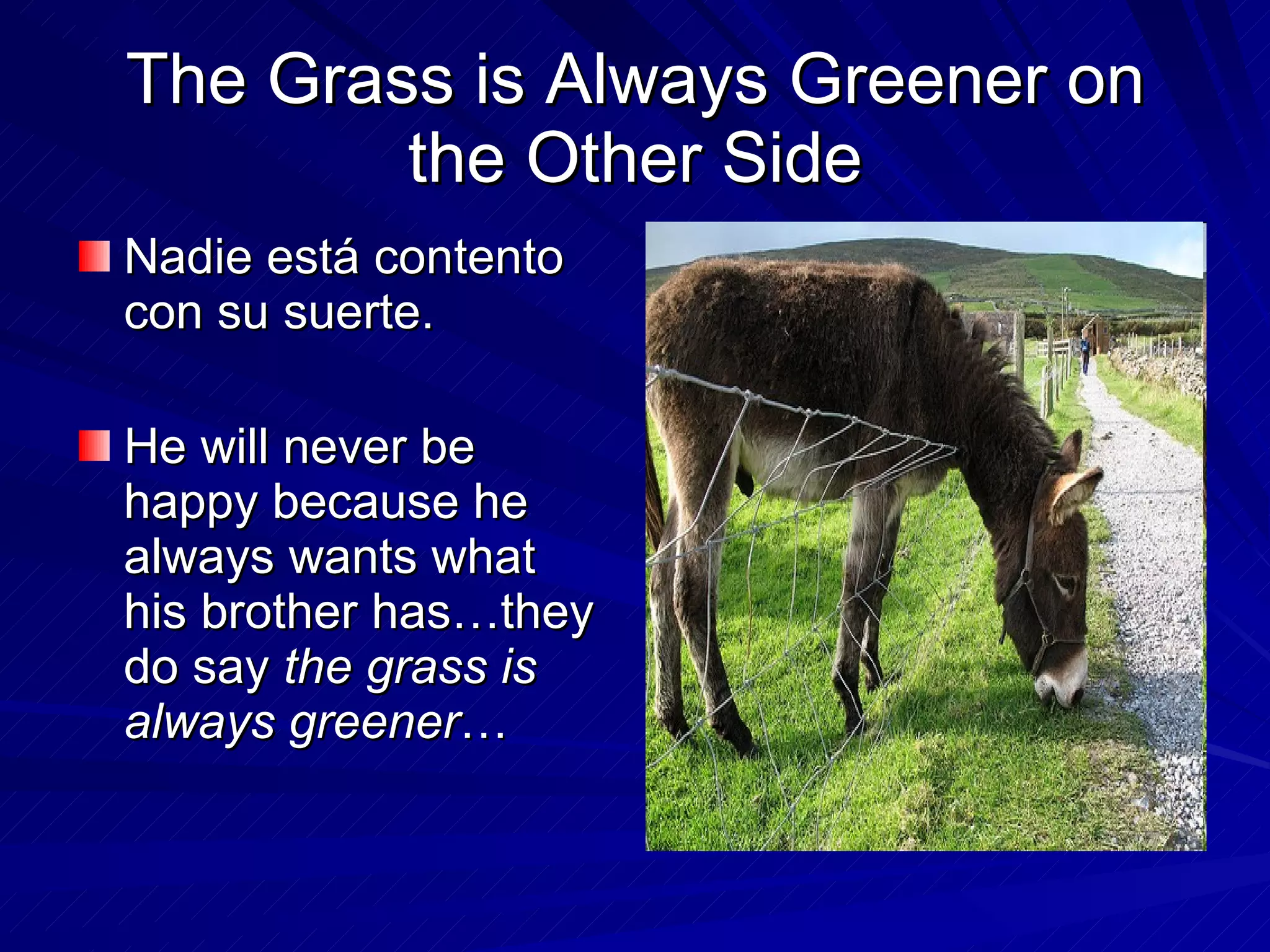 Idioms And Proverbs | PPT