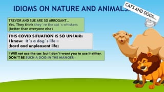Idioms related to animals | PPTX