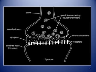 Idioms teaching through the multiple pathways model | PPT