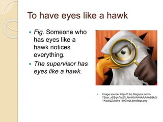 Idioms to describe personality | PPTX